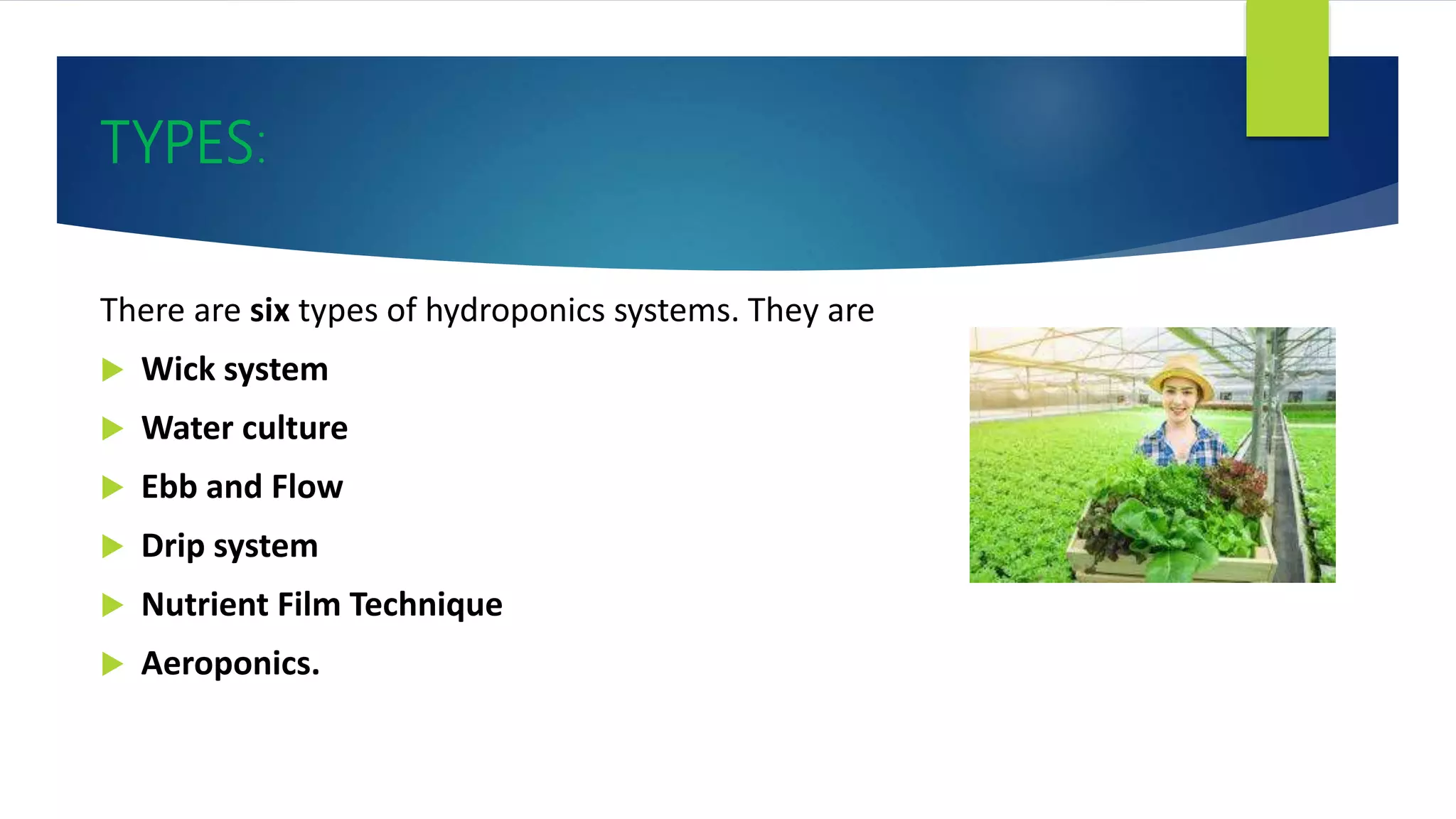 Hydroponics | PPTX