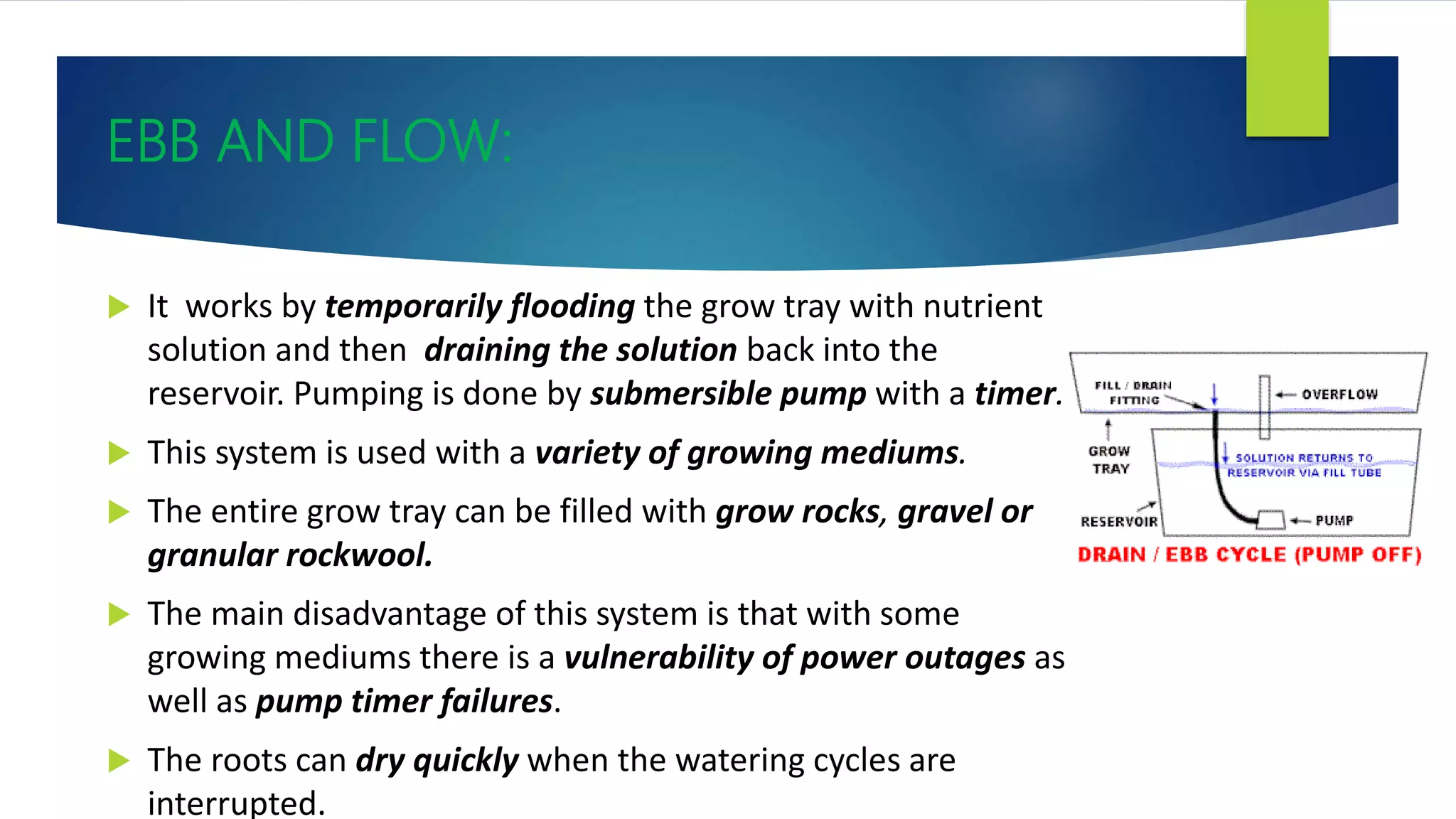 Hydroponics | PPTX
