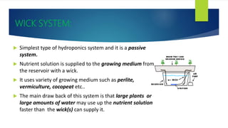 Hydroponics | PPTX