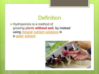 Hydroponics | PPT
