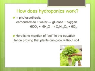 Hydroponics | PPTX