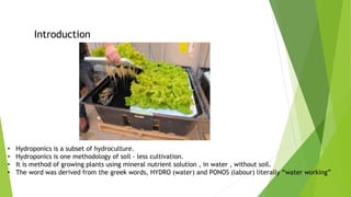 Hydroponics | PPTX