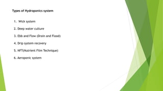 Hydroponics | PPTX