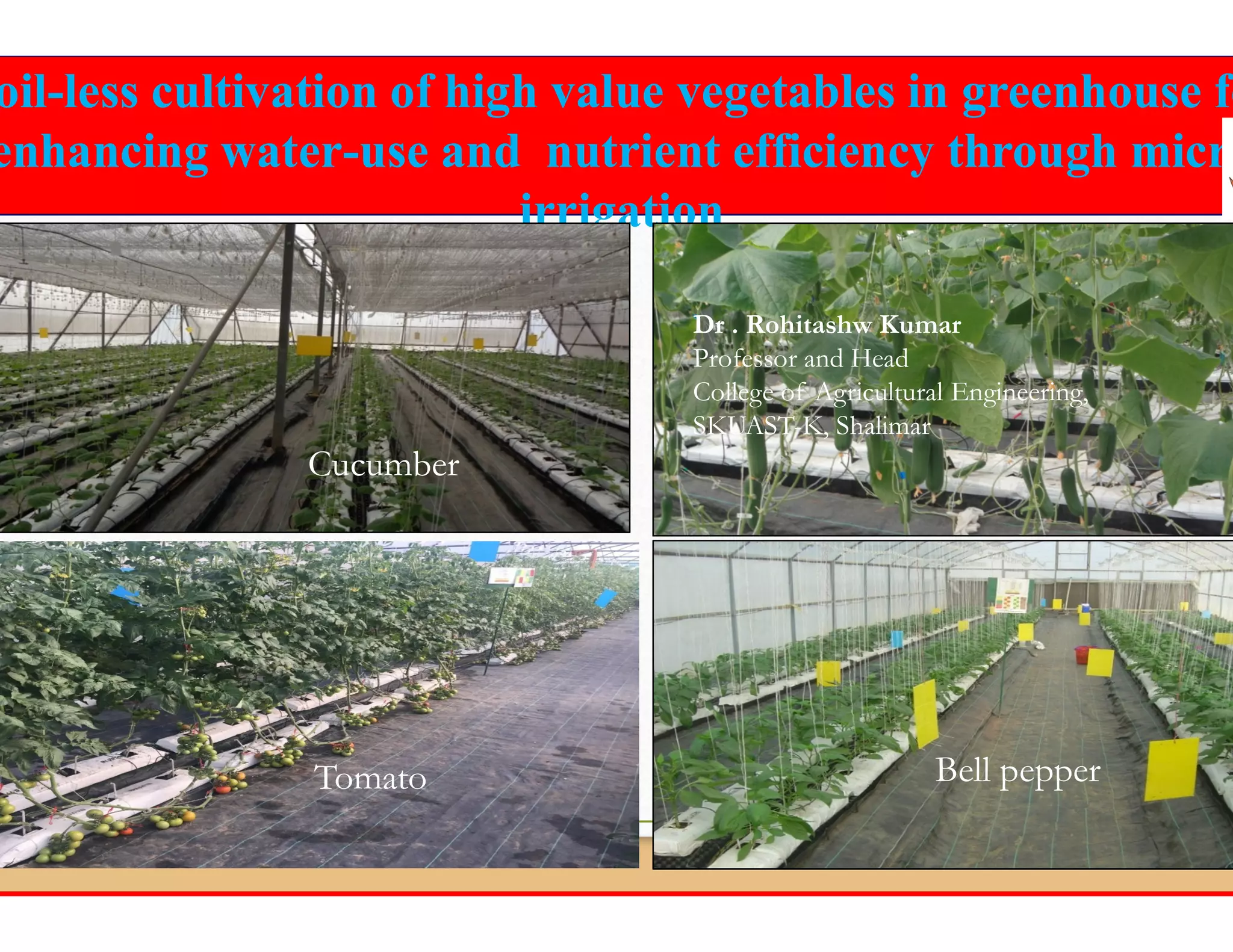 Hydroponics, Soil-less Cultivation | PDF