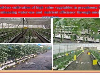 Hydroponics, Soil-less Cultivation | PDF