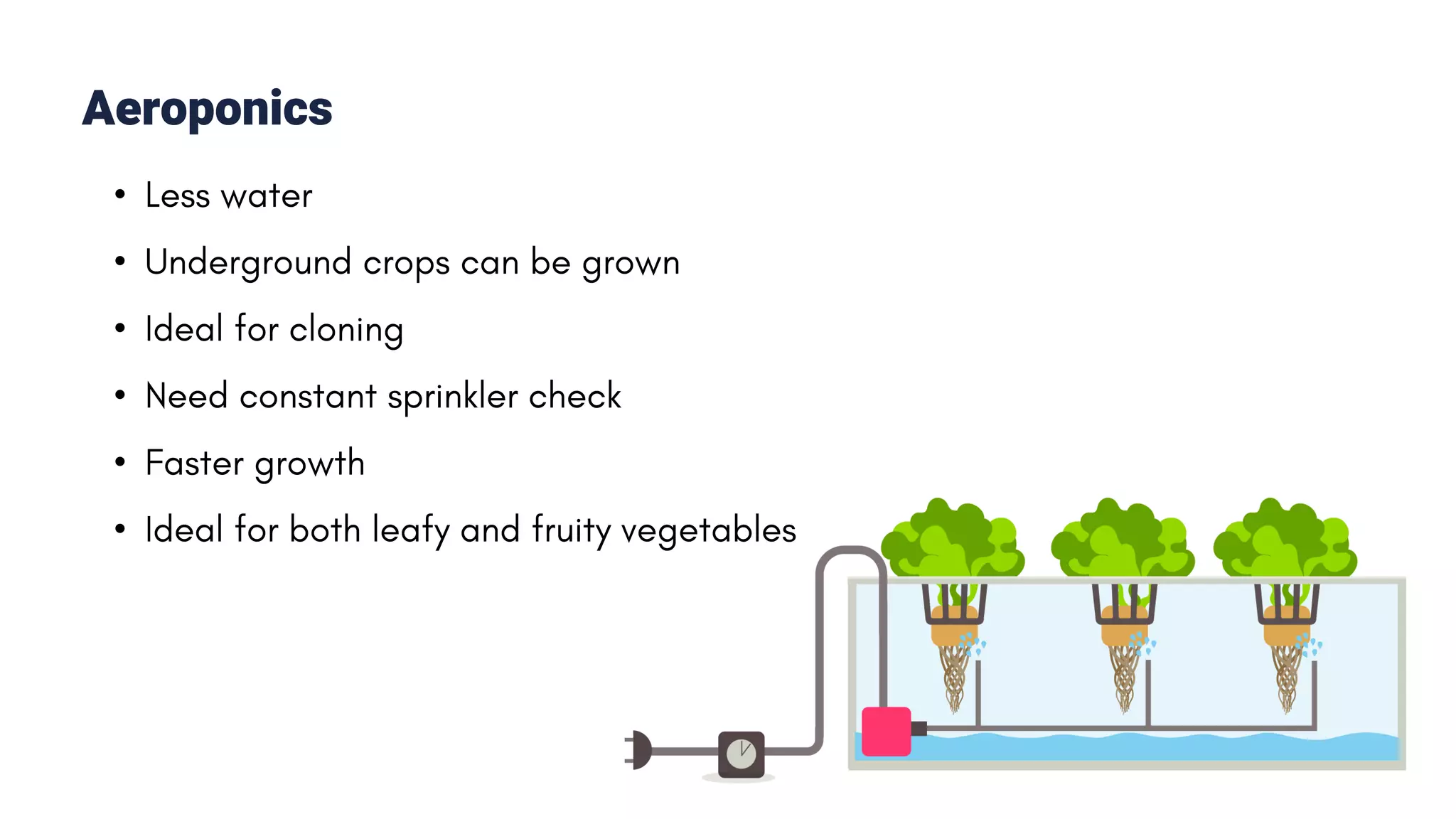Week 6: Hydroponics Technology | PPT
