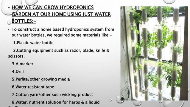Hydroponics | PPTX