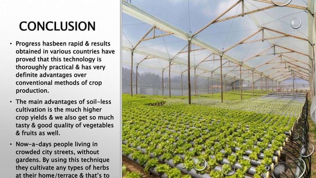 Hydroponics | PPTX