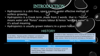 Hydroponics | PPTX