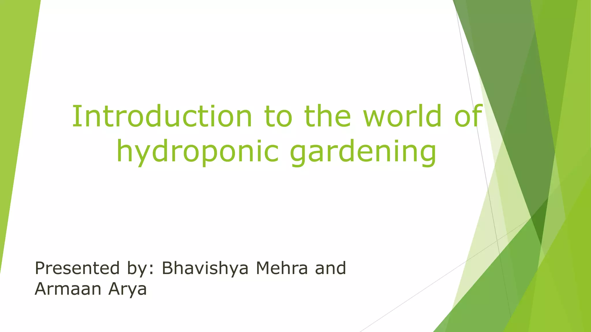 hydroponics.ppt.pptx