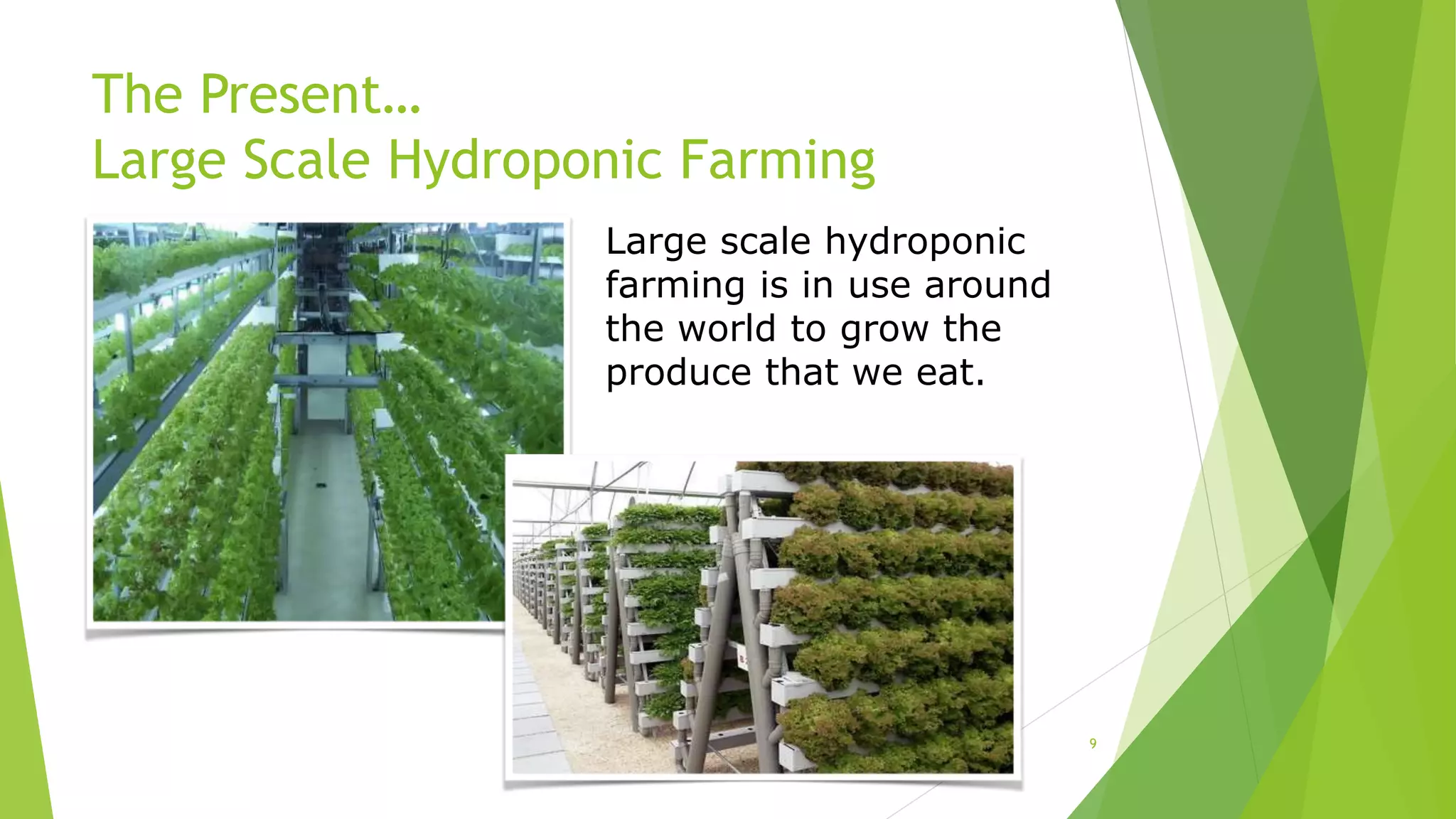 hydroponics.ppt.pptx