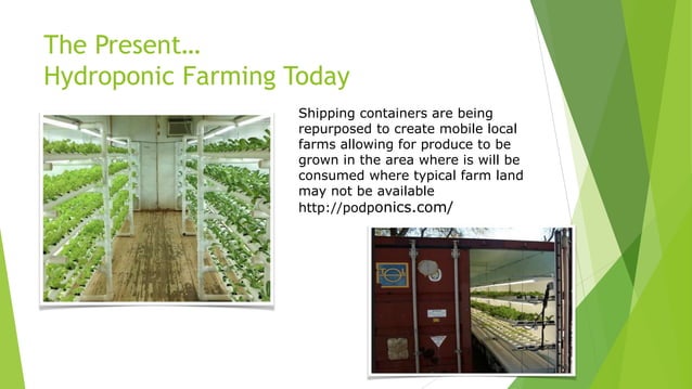 hydroponics.ppt.pptx