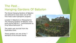 hydroponics.ppt.pptx