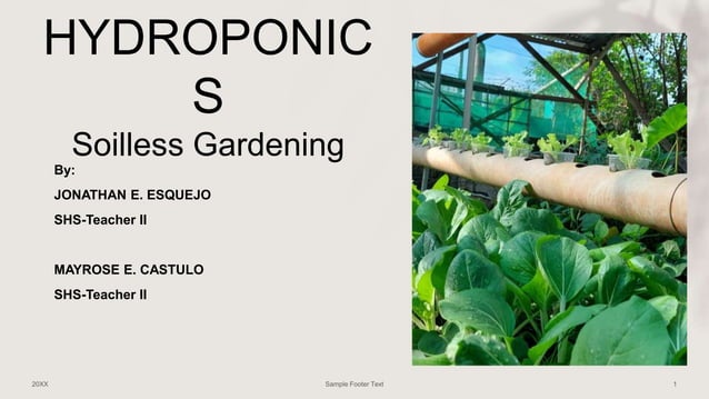 HYDROPONICS.pptx