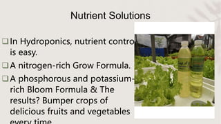 HYDROPONICS.pptx