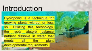 HYDROPONICS.pptx | Agriculture | Industries
