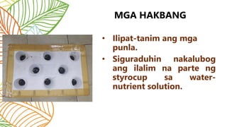 Laboratory in Plant Physiology (Third Year) | PPT