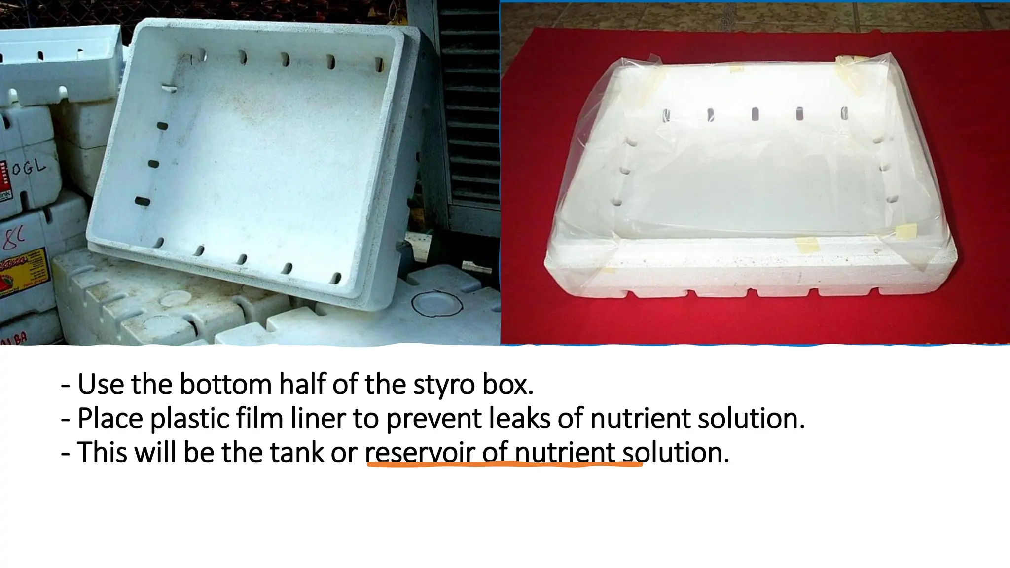 HYDROPONICS cratky method 1234567890qwew | PDF