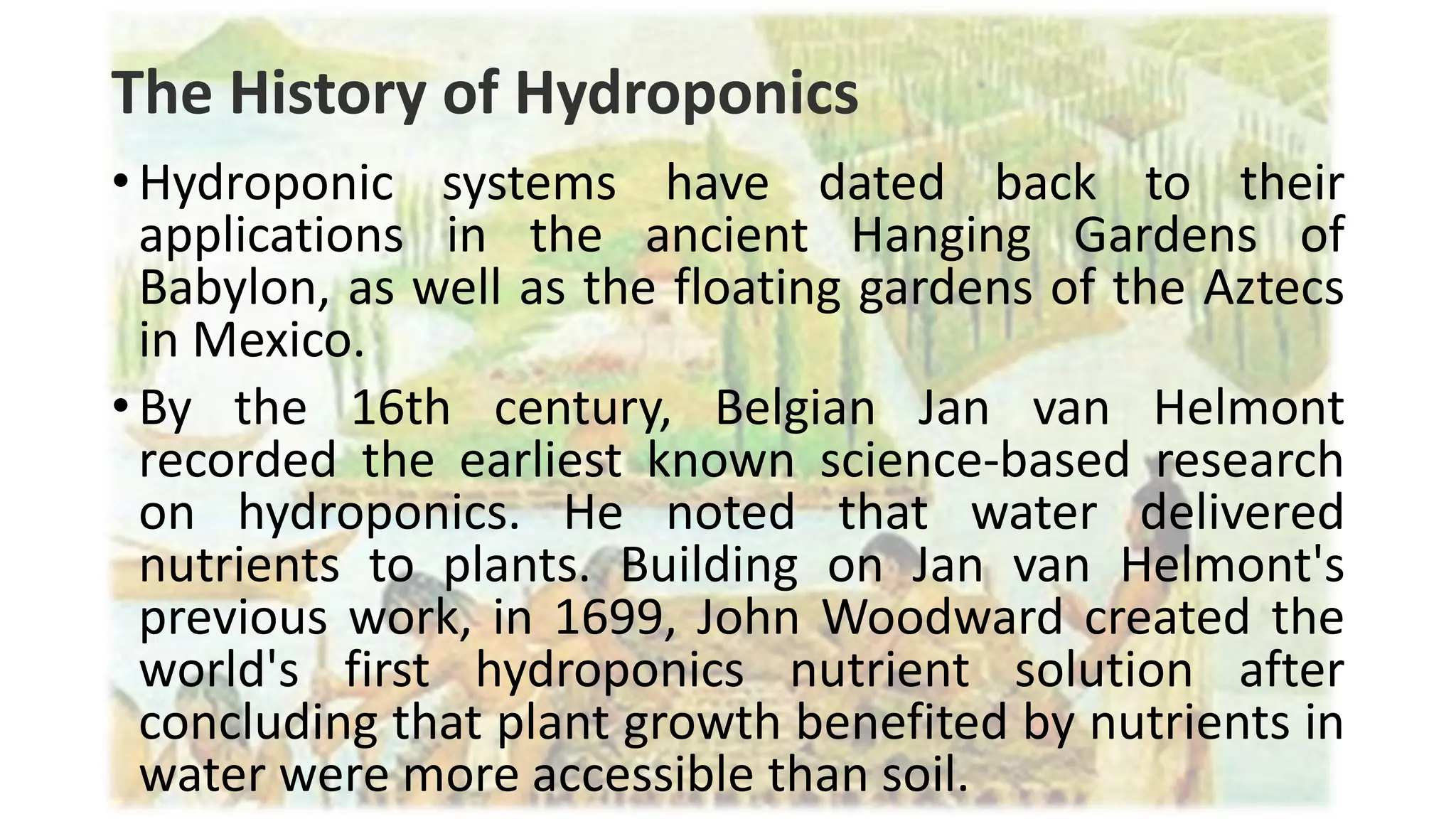 HYDROPONICS cratky method 1234567890qwew | PDF
