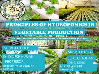 principles of hydroponics in vegetable production by sejal | PPTX