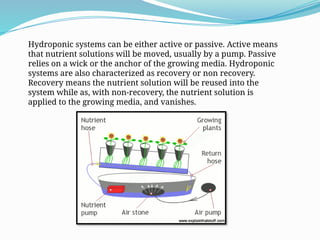 principles of hydroponics in vegetable production by sejal | PPTX