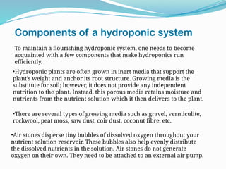 principles of hydroponics in vegetable production by sejal | PPTX