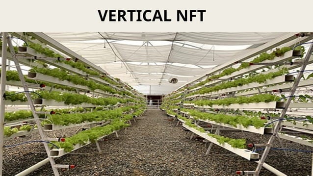 HYDROPONICS History,application and uses , | PPTX