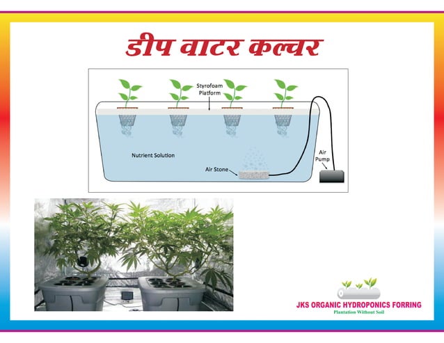 Hydroponics Prints Pdf | PPT | Free Download