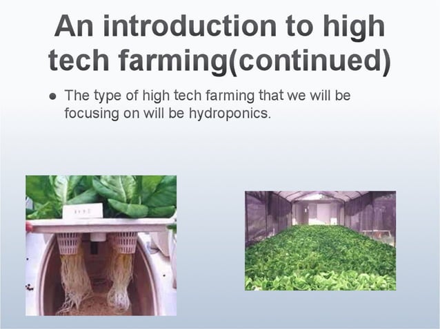 MSHS Physics: Introduction to Hydroponics | PPT