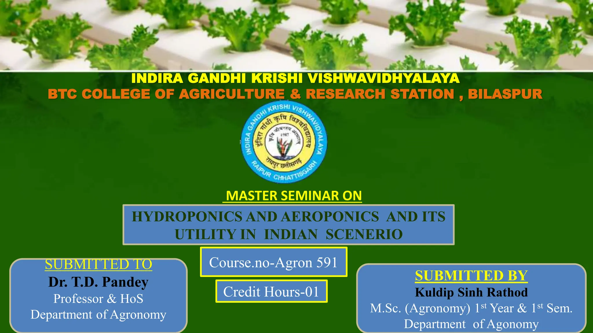 HYDROPONICS AND AEROPONICS.pptx