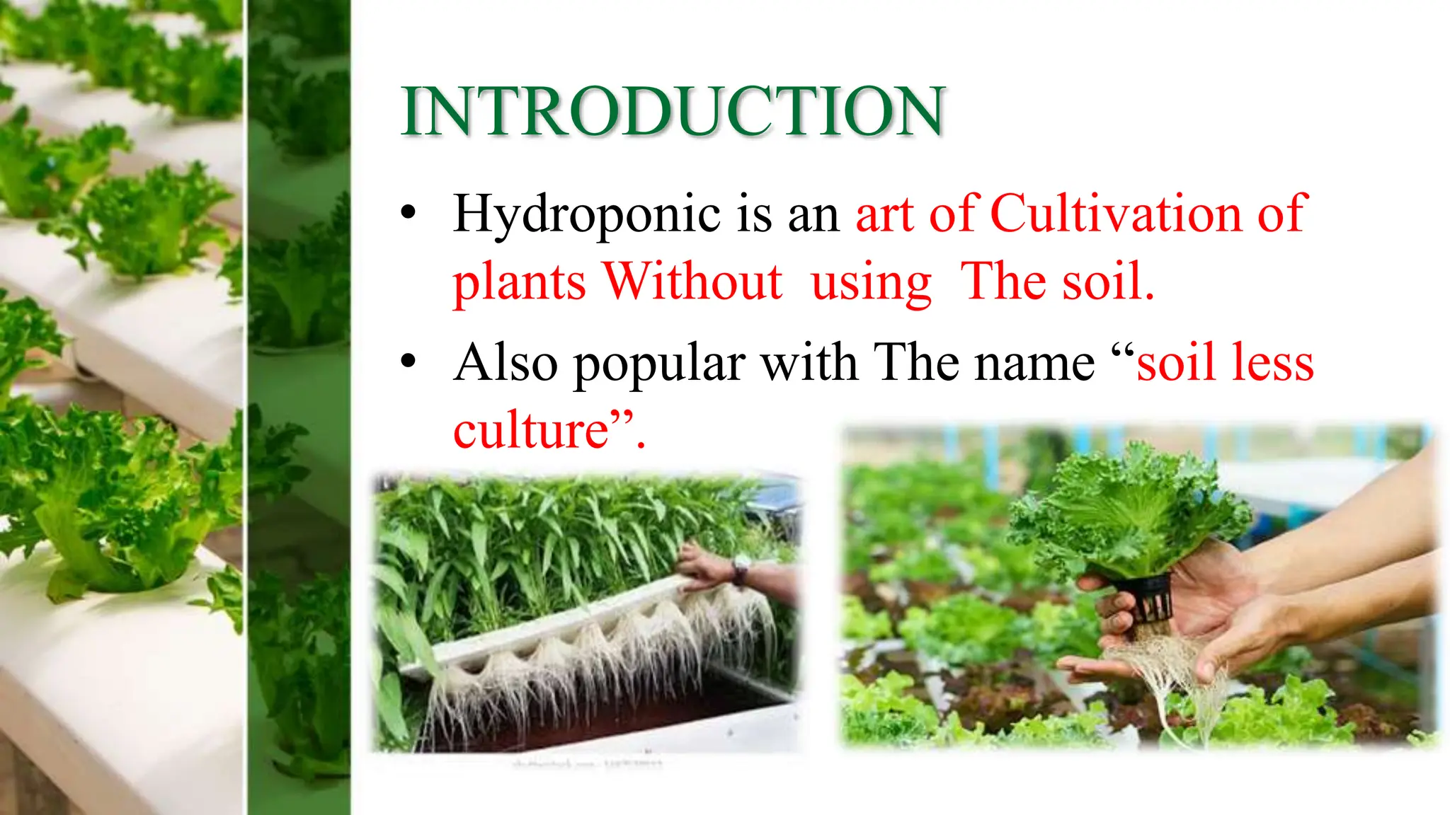 HYDROPONICS AND AEROPONICS.pptx