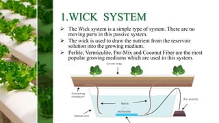 HYDROPONICS AND AEROPONICS.pptx