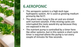 HYDROPONICS AND AEROPONICS.pptx
