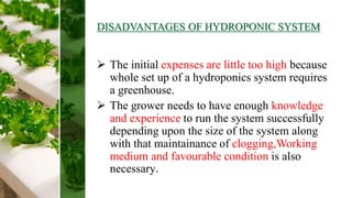 HYDROPONICS AND AEROPONICS.pptx