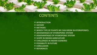 HYDROPONICS AND AEROPONICS.pptx