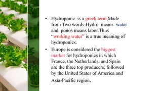 HYDROPONICS AND AEROPONICS.pptx