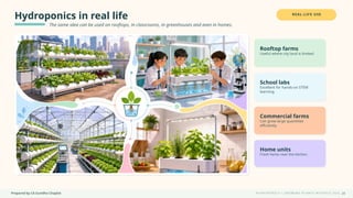 Hydroponics: Growing Plants Without Soil | Class 8 Vocational Education ...