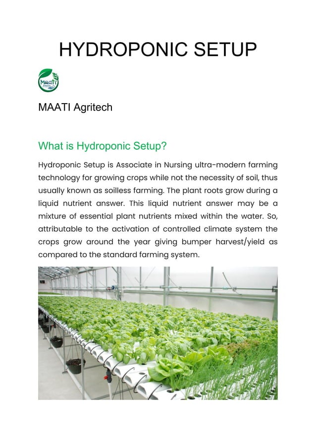 Hydroponic setup | PDF