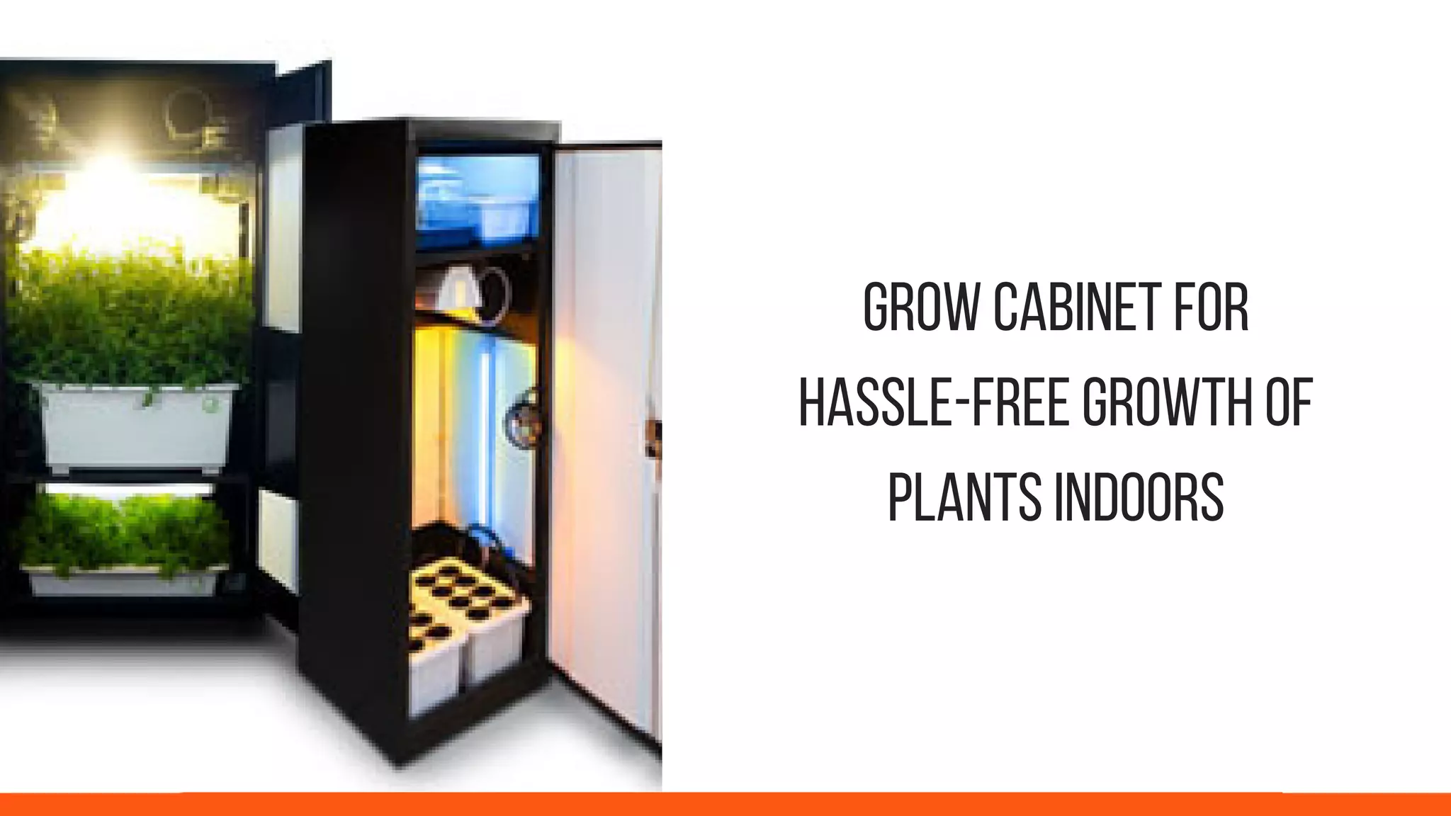 Hydroponics Grow Box & Grow Cabinet for Hassle Free Growth of Plants ...