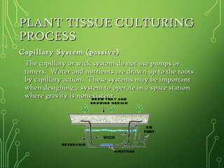 Hydroponics system | PPT