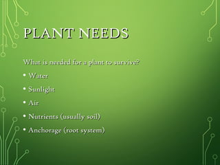 Hydroponics system | PPT