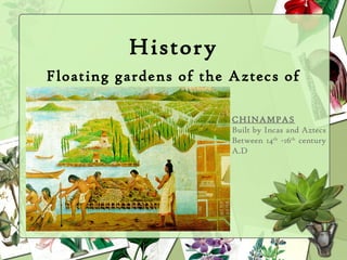 HYDROPONICS | PPT