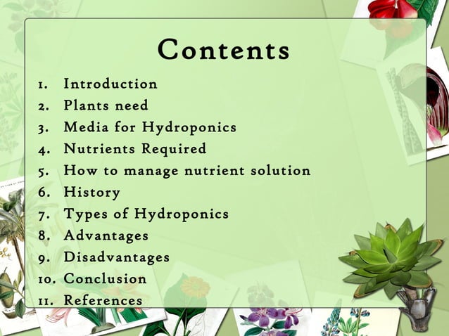 HYDROPONICS | PPT | Agriculture | Industries
