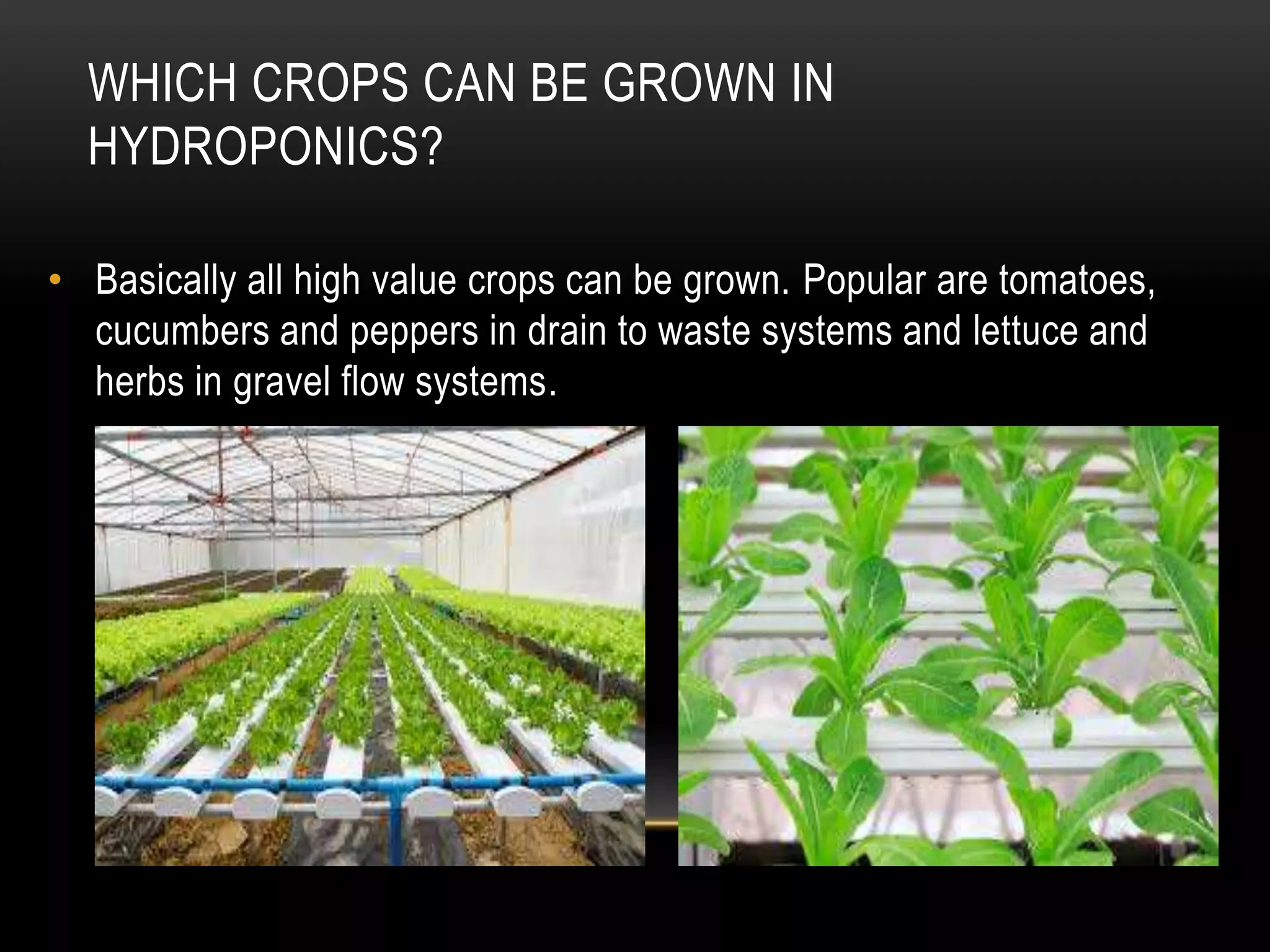 Hydroponics in vegetable | PPTX