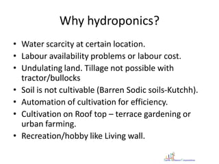 Hydroponics overview | PDF