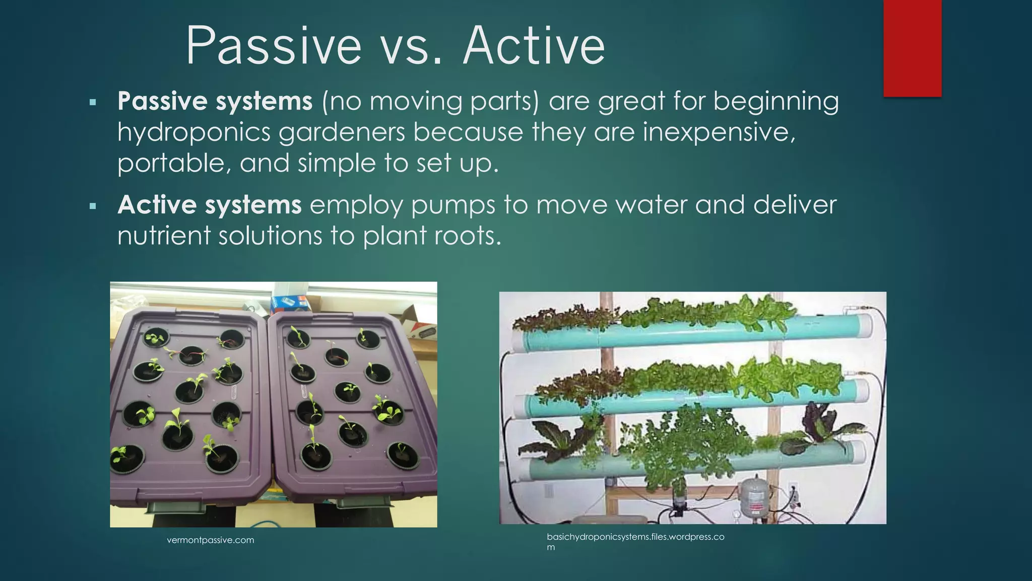 Hydroponics PPT.pdf