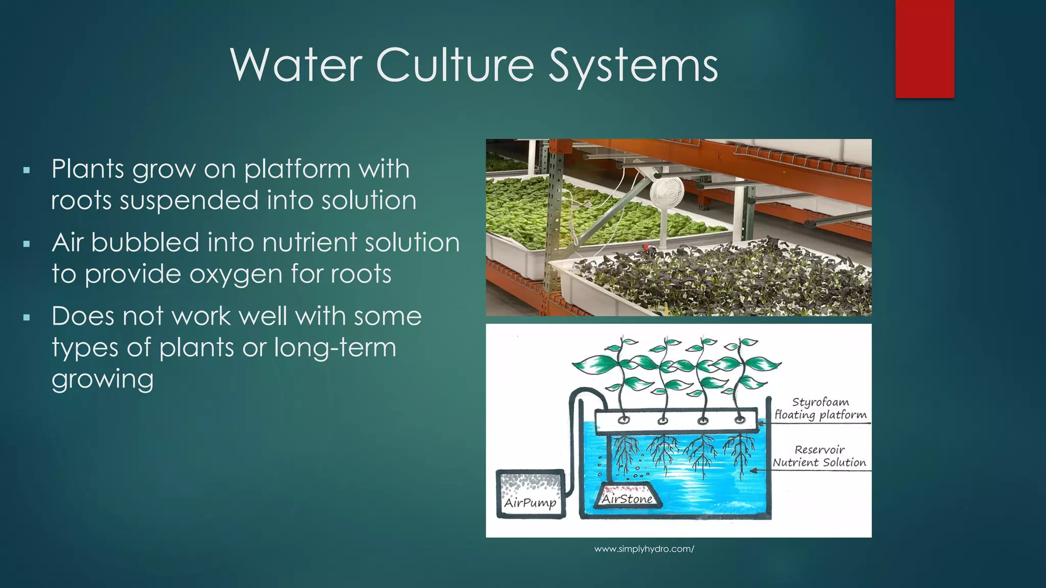 Hydroponics PPT.pdf