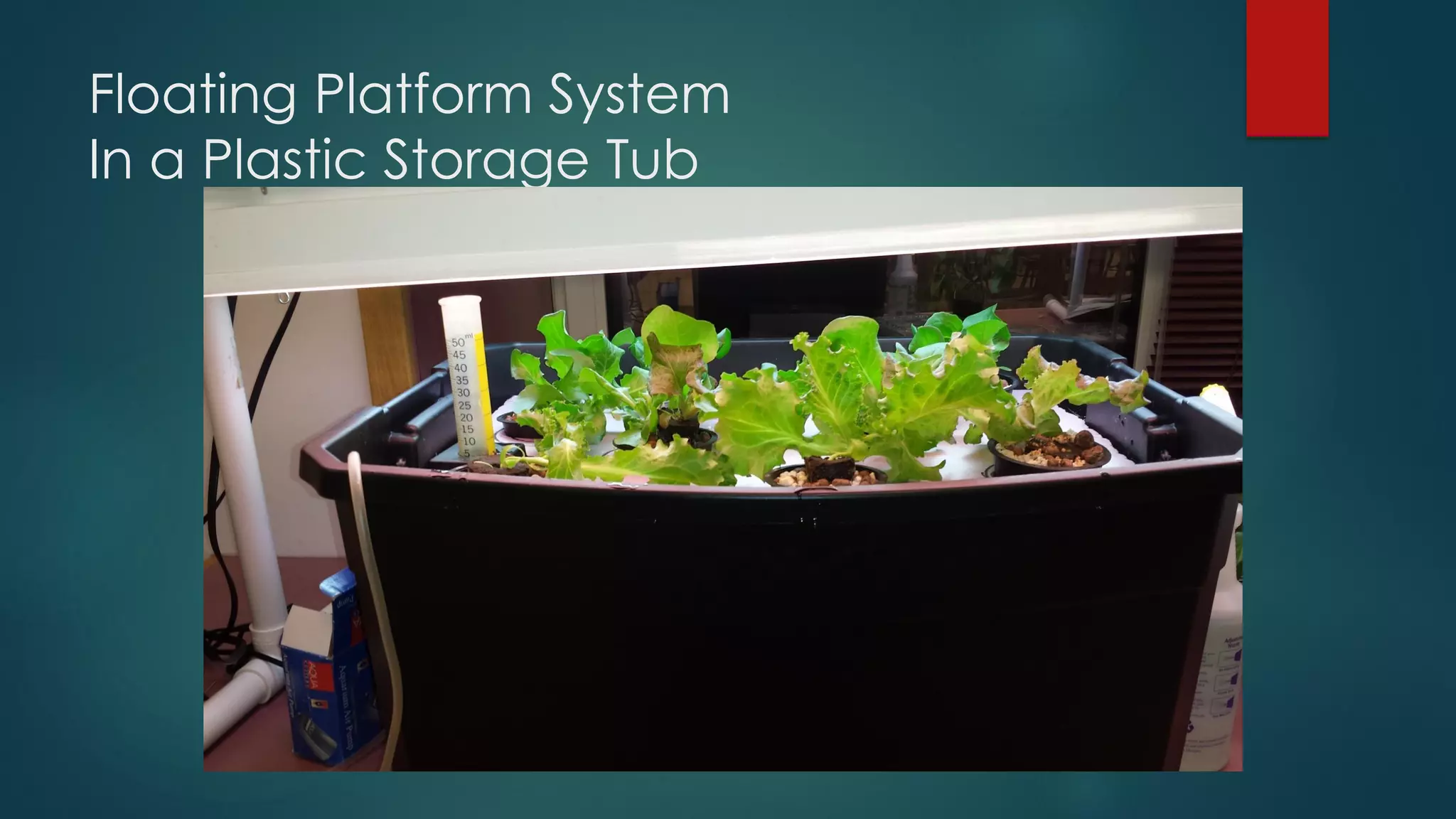 Hydroponics PPT.pdf