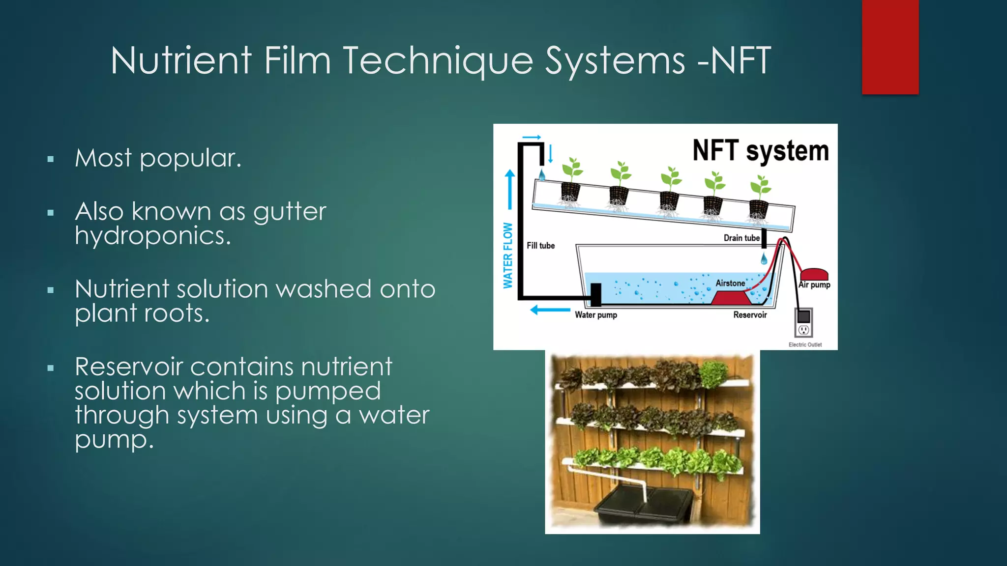 Hydroponics PPT.pdf