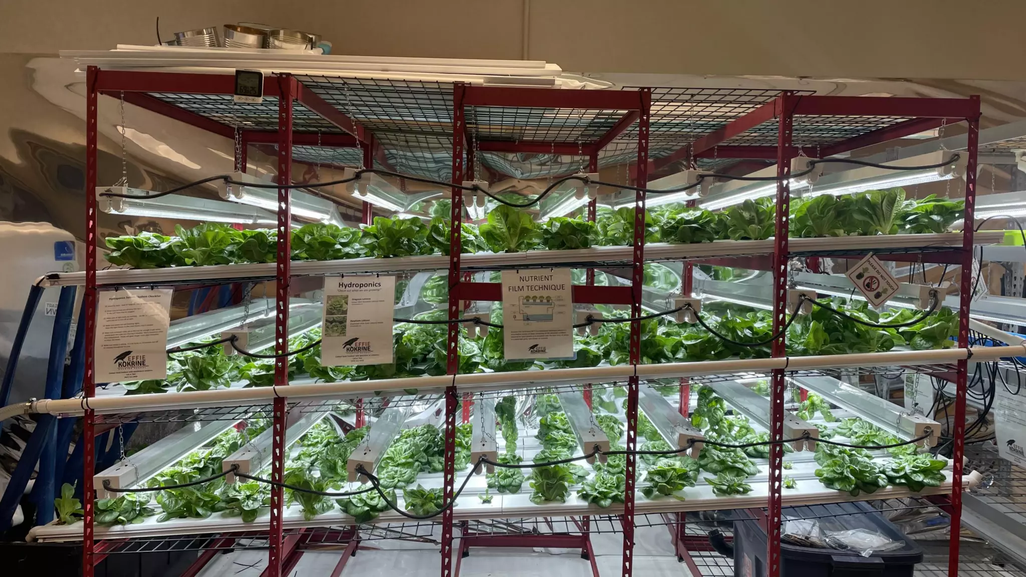 Hydroponics PPT.pdf